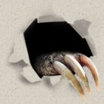 Arroyo del Vizcaíno » Megafauna